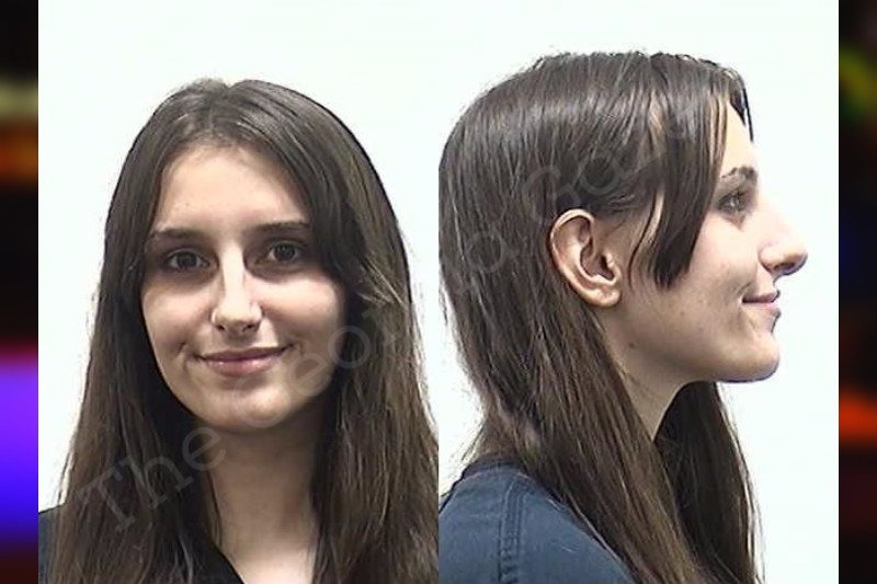 Anna Hemingway — Clarke County Jail Bookings