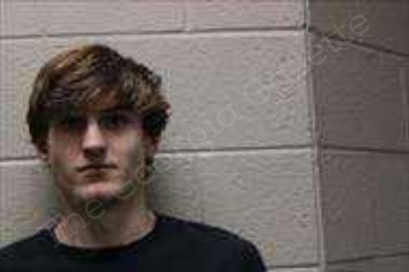 Brandon Hogan — Haralson County Jail Bookings