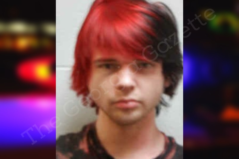 Ryan Horton — Henry County Jail Bookings