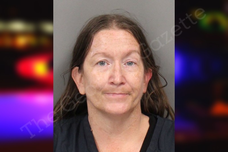 Amanda Hamby — Cobb County Jail Bookings