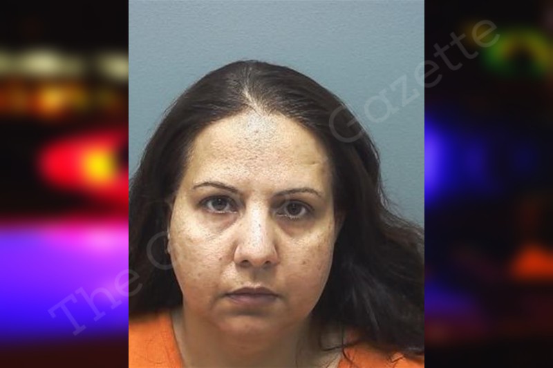 Iram Hameed — Cherokee County Jail Bookings