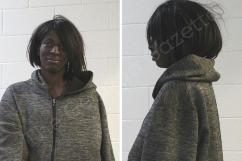 Dionna Harris — Houston County Jail Bookings