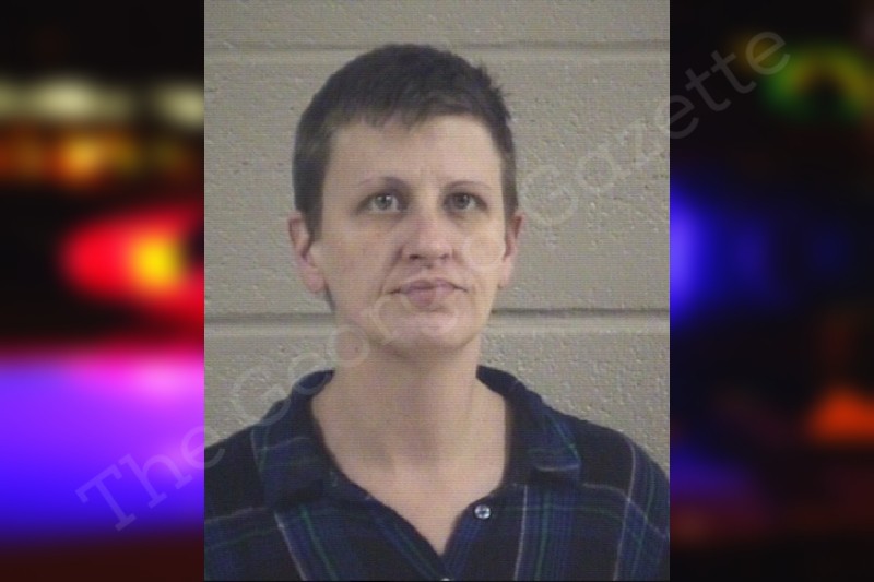 Heather Ridley — Whitfield County Jail Bookings