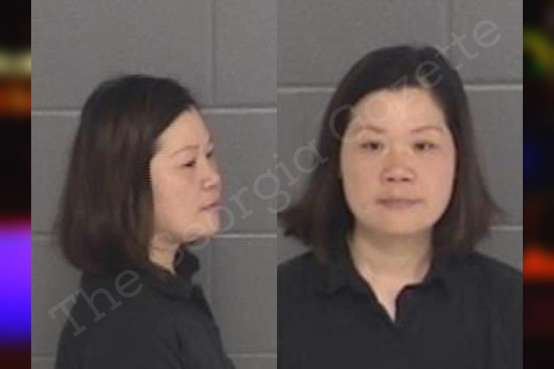 Yi Hu — Barrow County Jail Bookings