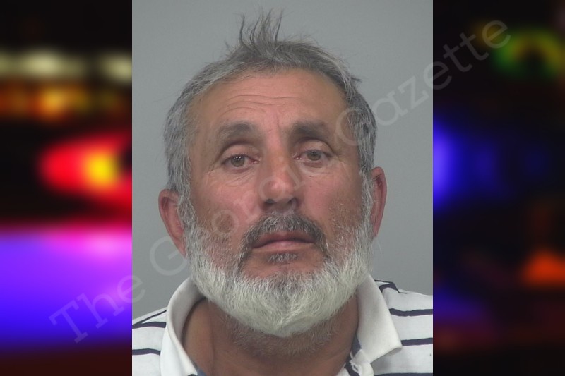 Costel Ilie — Gwinnett County Jail Bookings