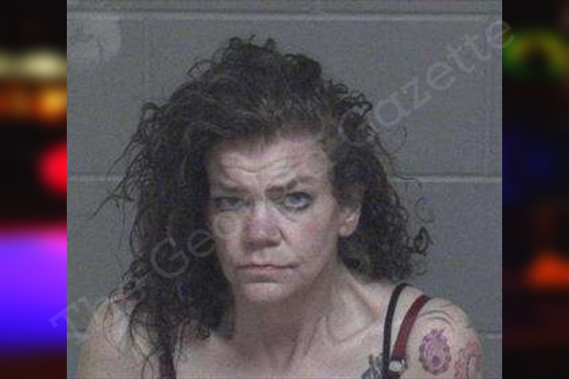 Susan Ivy — Morgan County Jail Bookings