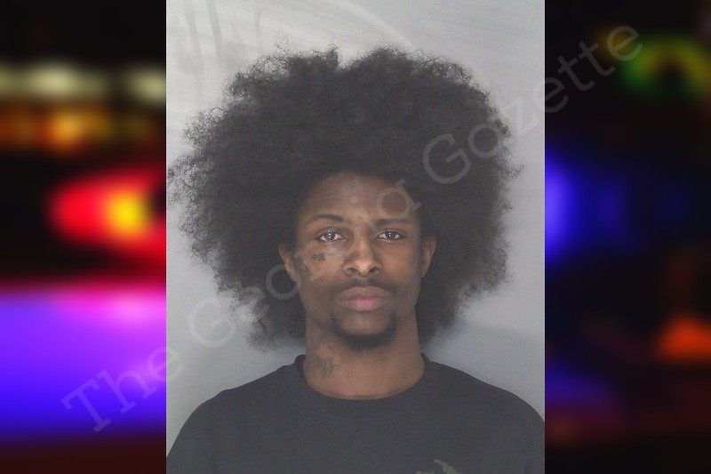 Jerron Johnson — Douglas County Jail Bookings