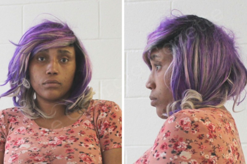 Deloris Jones — Houston County Jail Bookings