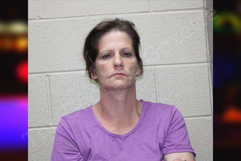 Clarissa King — Haralson County Jail Bookings