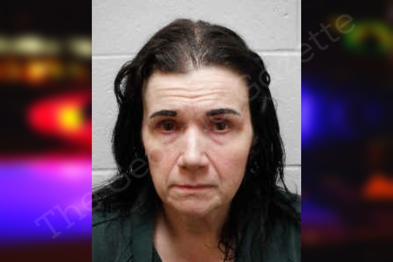 Kristy Knight — Henry County Jail Bookings