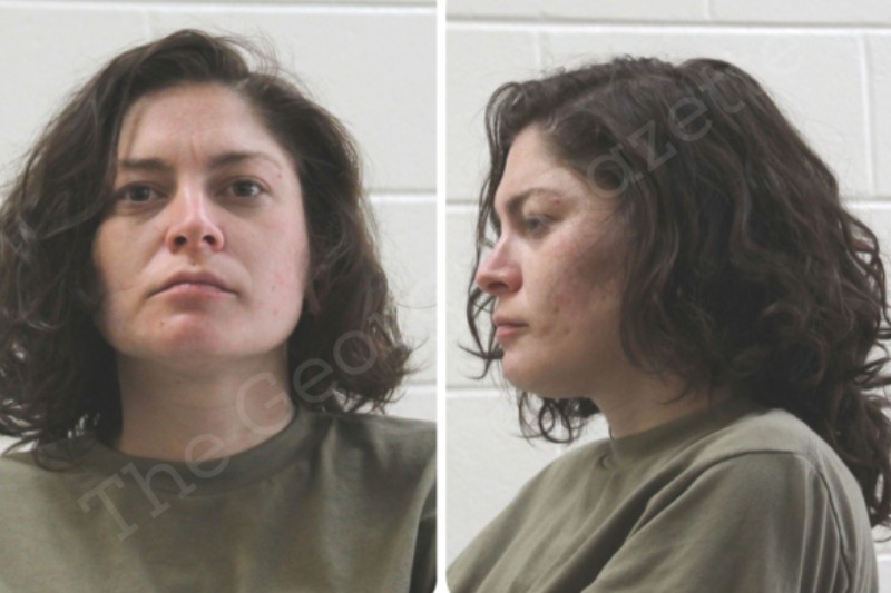 Michelle Kelly — Houston County Jail Bookings