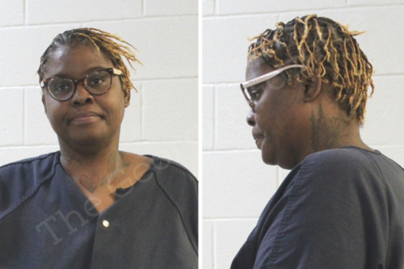 Rashida Kinchen — Houston County Jail Bookings