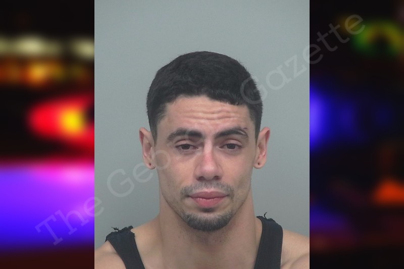 Stanley Lewicki's Instagram, Twitter & Facebook on IDCrawl