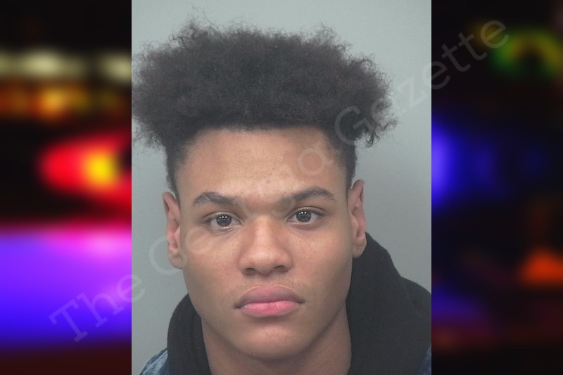 Leon Lewis — Gwinnett County Jail Bookings