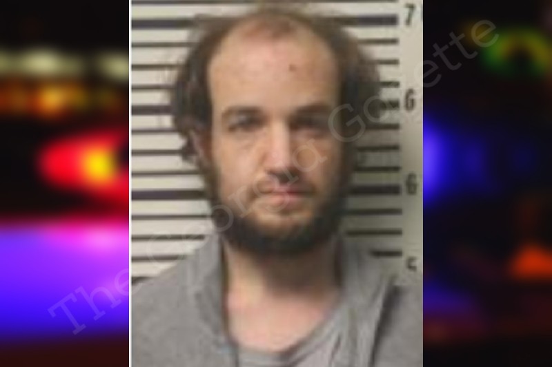 Tyler Long — Toombs County Jail Bookings
