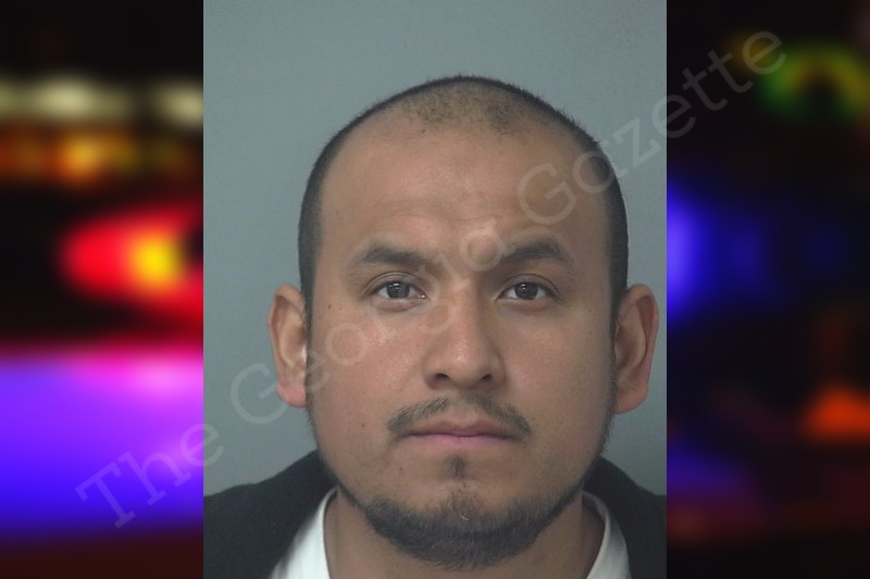 Miguel Lopez Presa — Gwinnett County Jail Bookings