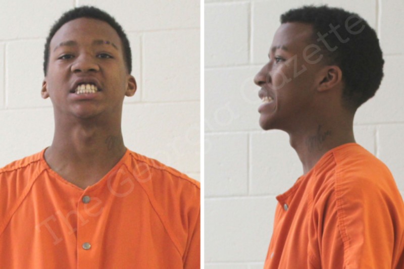 Devyn Lane — Houston County Jail Bookings