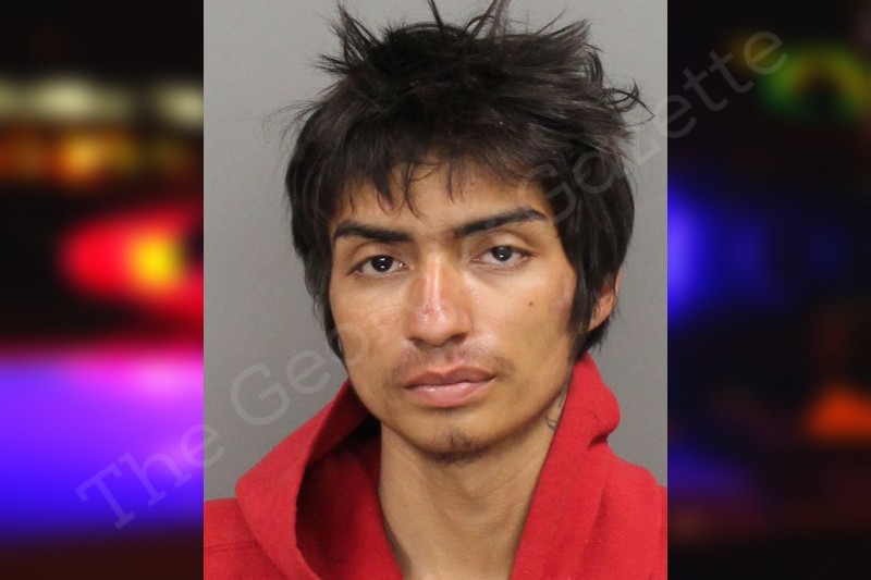 Edwin Lara — Cobb County Jail Bookings