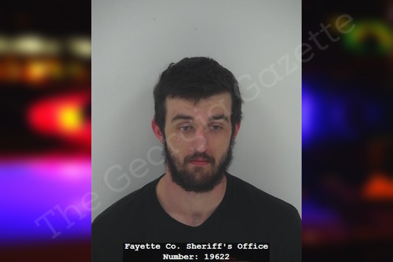 Austin Lee — Fayette County Jail Bookings