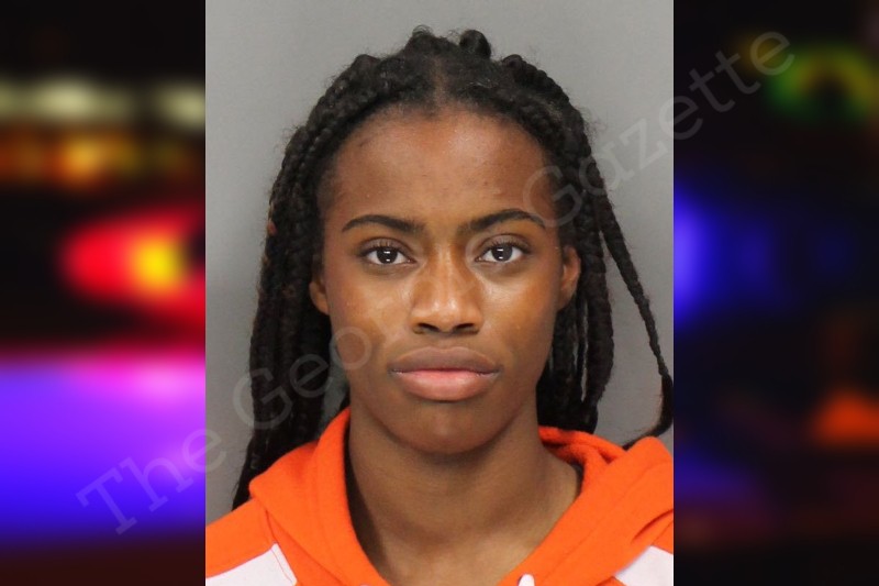 Sara Lev — Cobb County Jail Bookings