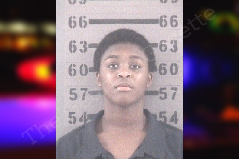 Lilly Miller — Dougherty County Jail Bookings