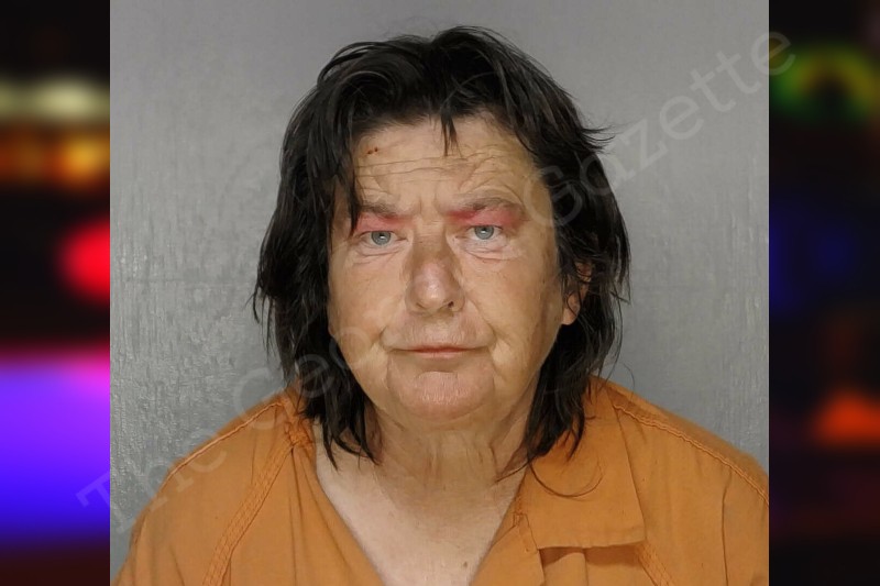 Lisa Boyd — Bibb County Jail Bookings Lisa Boyd — Bibb County Jail Bookings