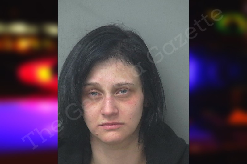 Krista Martin — Gwinnett County Jail Bookings