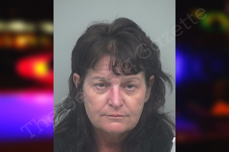 Elizabeth Mccabe — Gwinnett County Jail Bookings