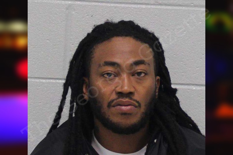 Tracy Mccoy — Carroll County Jail Bookings