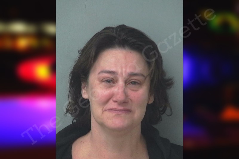 Amy Mcleod — Gwinnett County Jail Bookings