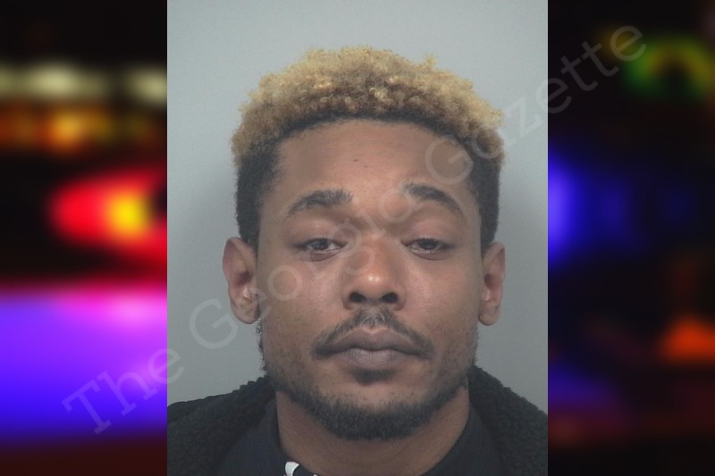 Michael Meeks — Gwinnett County Jail Bookings