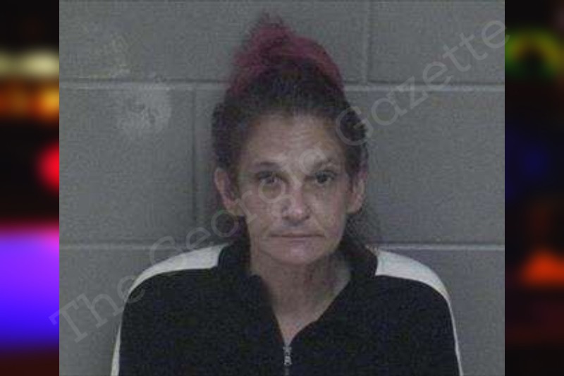 Maria Mobley — Morgan County Jail Bookings