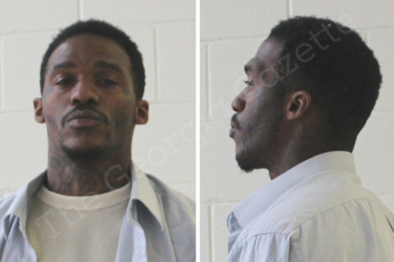Louis Miles — Houston County Jail Bookings