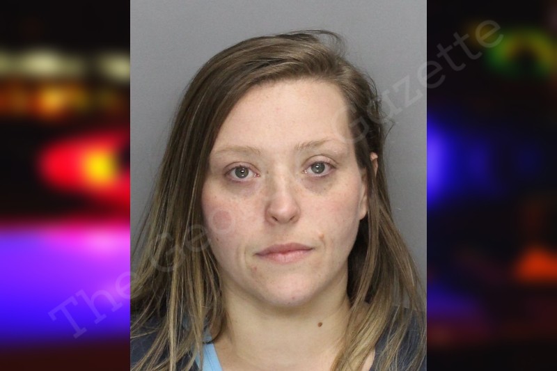 April Mills — Cobb County Jail Bookings