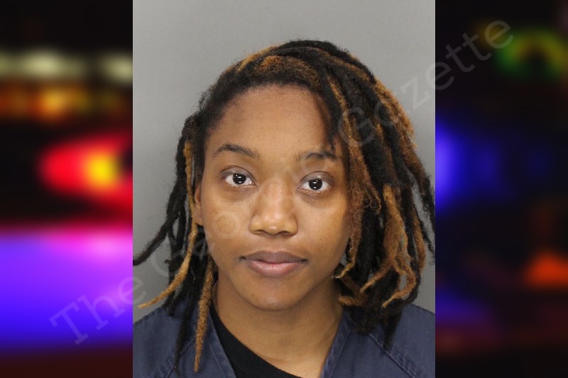 Morgan Morrison — Cobb County Jail Bookings