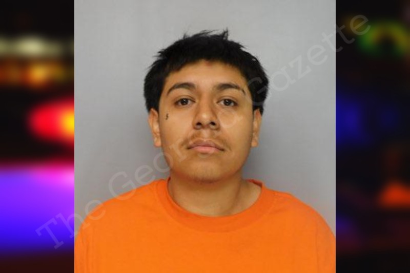 Geovany Nava | Hall County