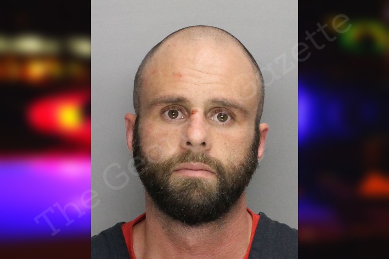 Jordan Petronella — Cobb County Jail Bookings