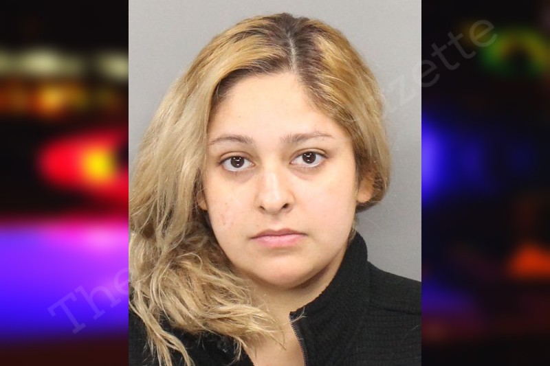 Nancy Portillo — Cobb County Jail Bookings