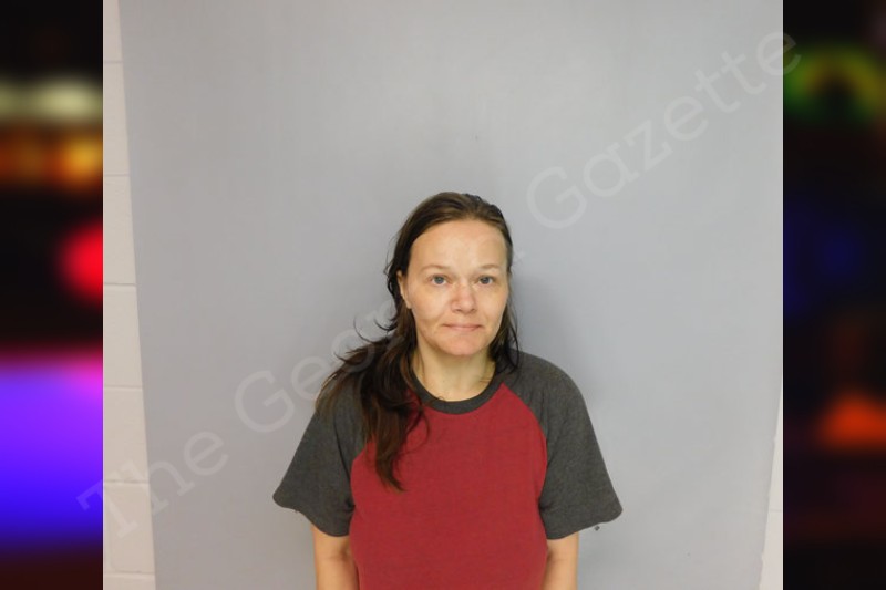 Angela Riddle — Hall County Jail Bookings