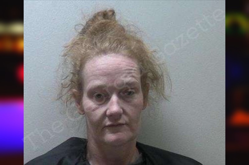 Misty Rogers — Habersham County Jail Bookings