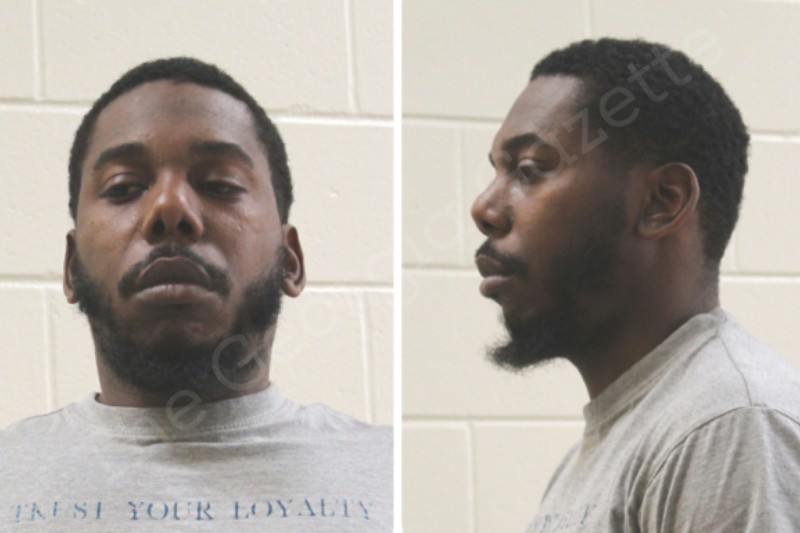 Shamond Rozier — Houston County Jail Bookings