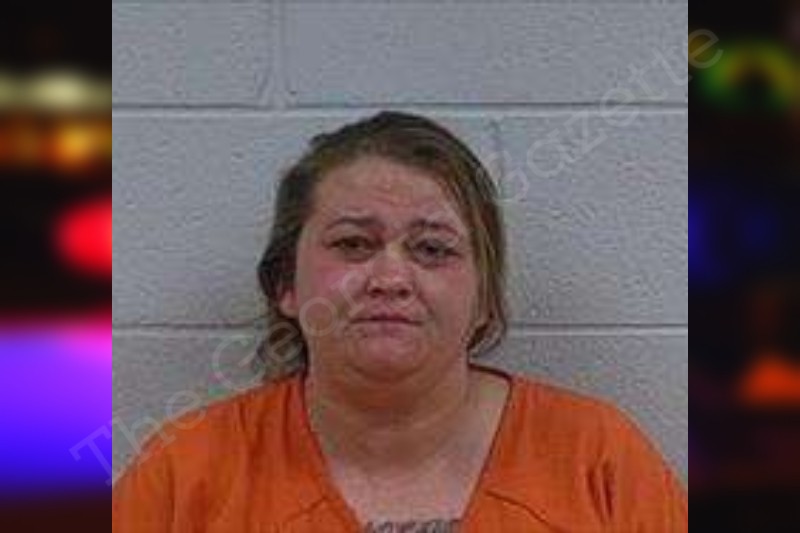 Courtney Simpson — Polk County Jail Bookings