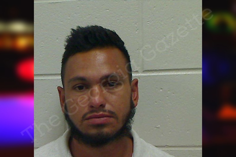 Joseph Skinner — Bulloch County Jail Bookings