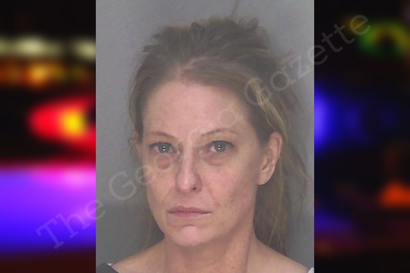 Bridgette Slike — Douglas County Jail Bookings