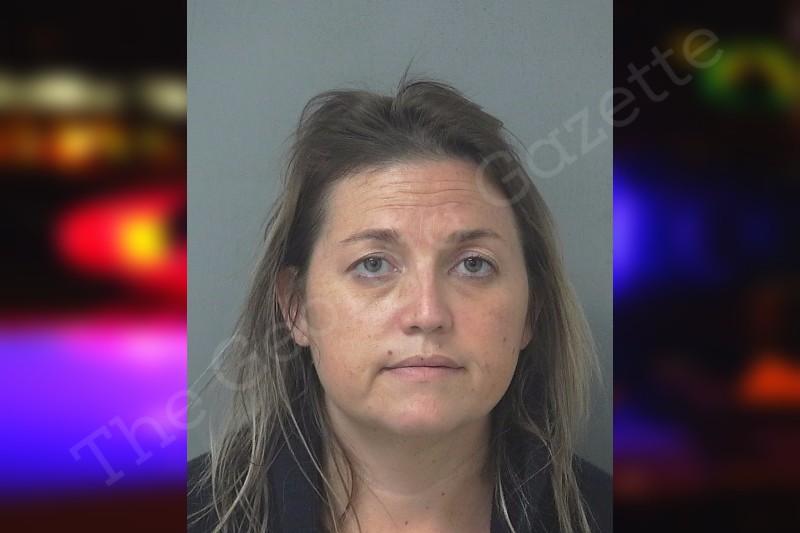 Ashley Smith — Gwinnett County Jail Bookings