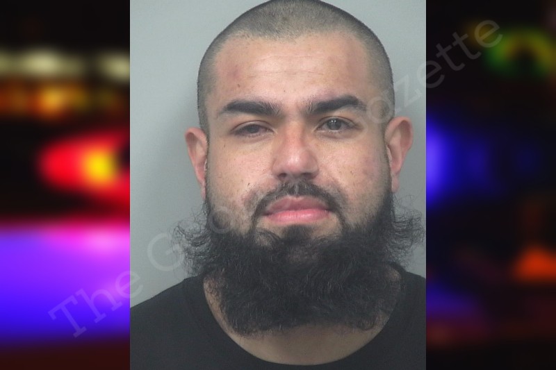 Jose Sotelo — Gwinnett County Jail Bookings