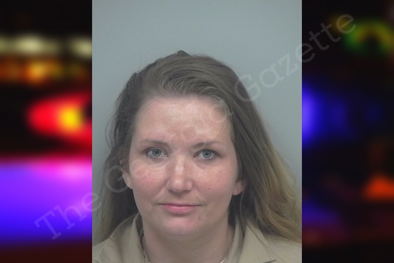 Ashley Sprague — Gwinnett County Jail Bookings