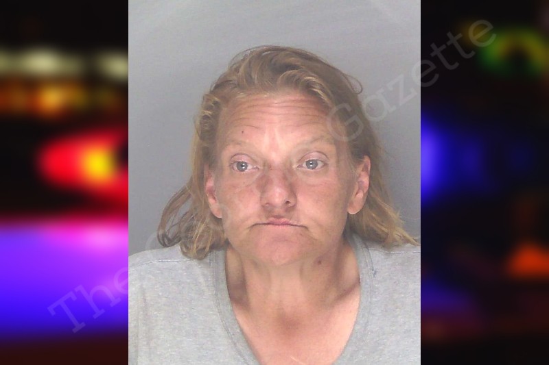 Christy Sullivan — Douglas County Jail Bookings