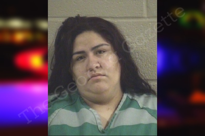 Stefani Mendiola — Whitfield County Jail Bookings