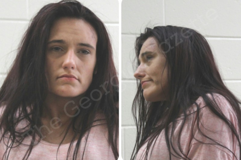 Tiffany Story — Houston County Jail Bookings